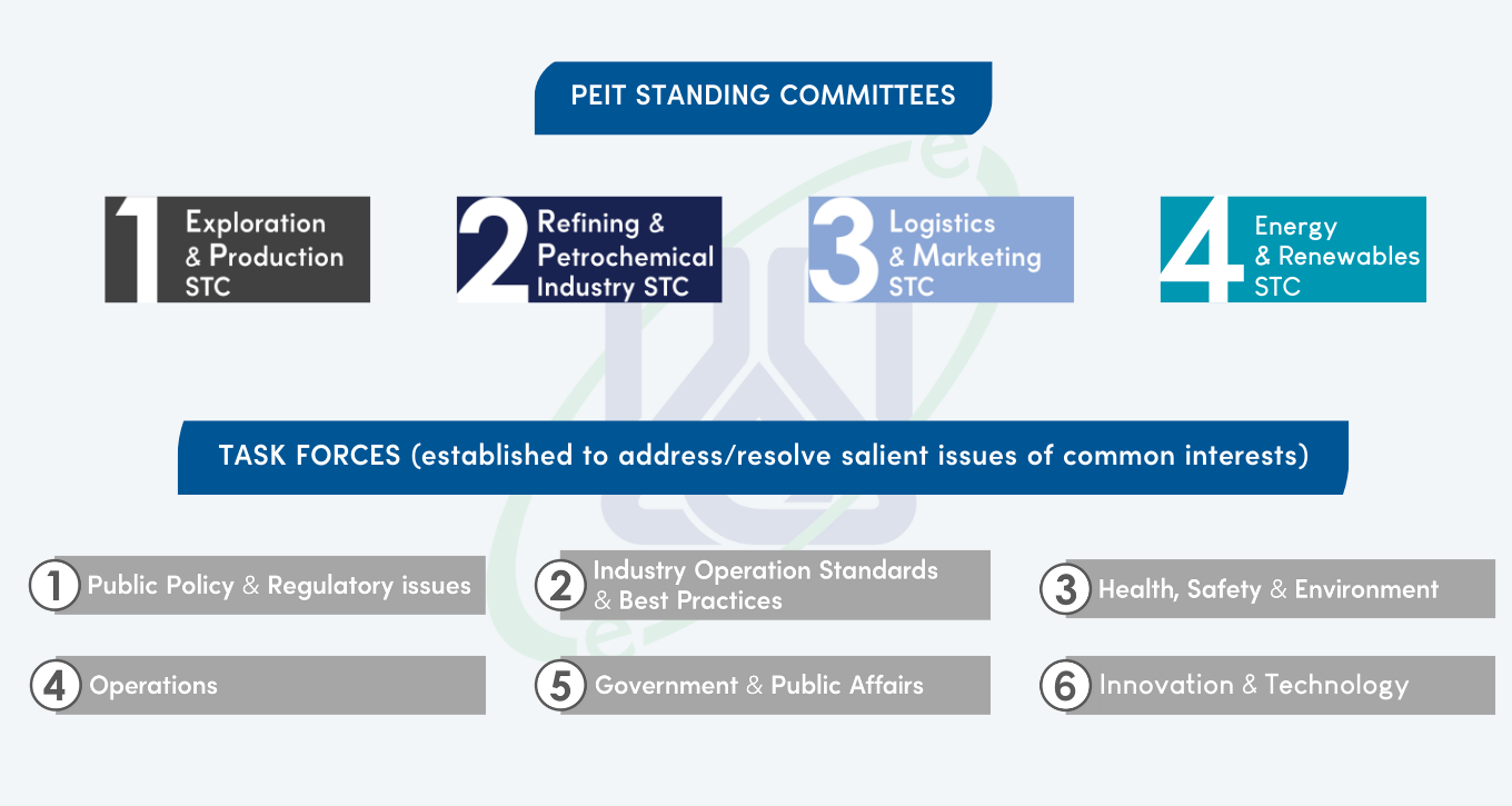 Petroleum and Energy Institute of Thailand